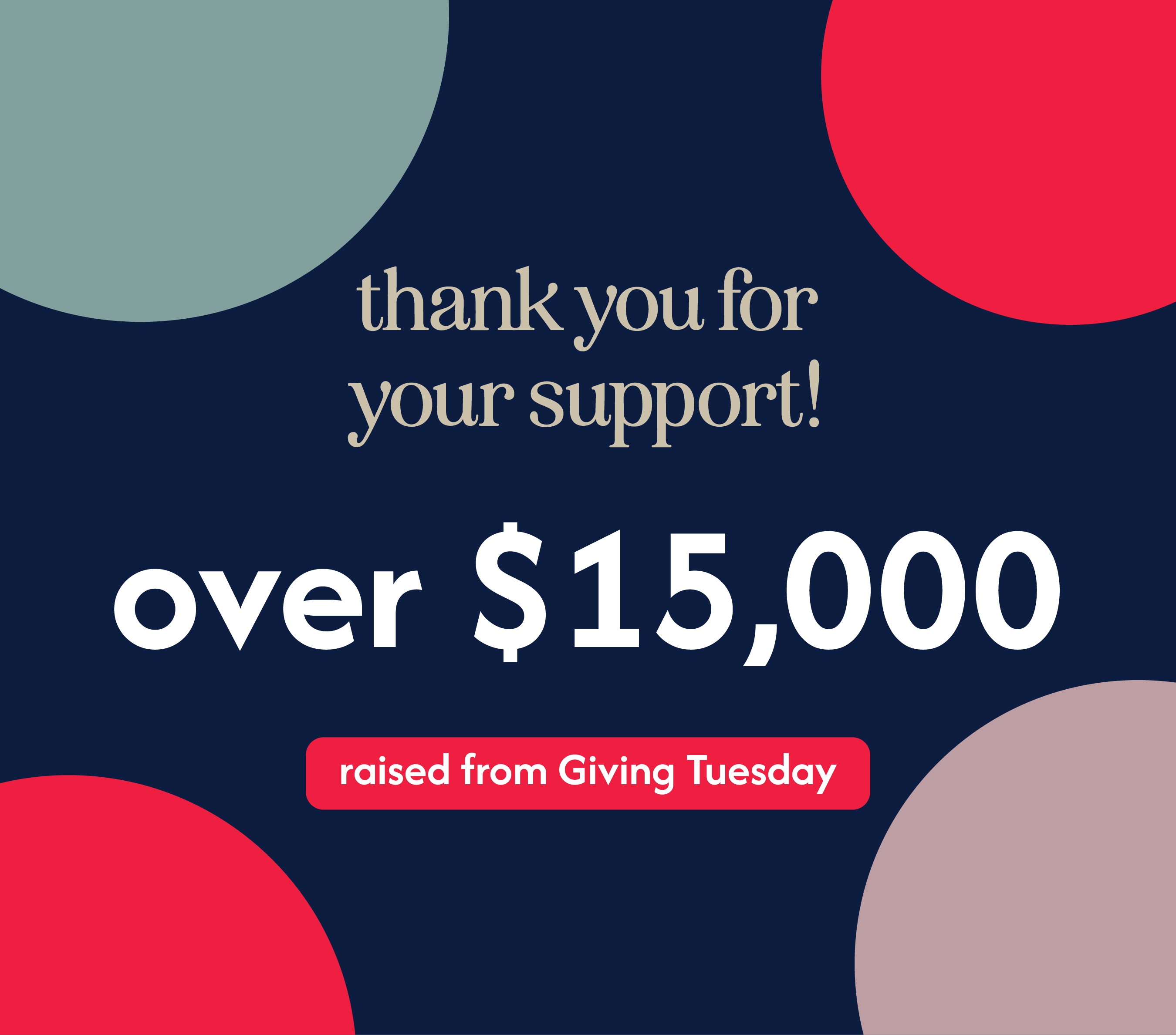 Celebrating Our First Giving Tuesday and a Community That Showed Up